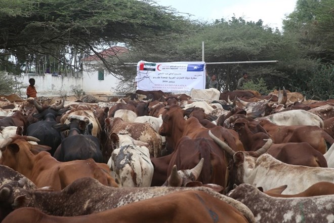 Sawirro: Hay’ada Bisha Cas ee dalka Imaaraadka Carabta oo Qoys Danyar ...