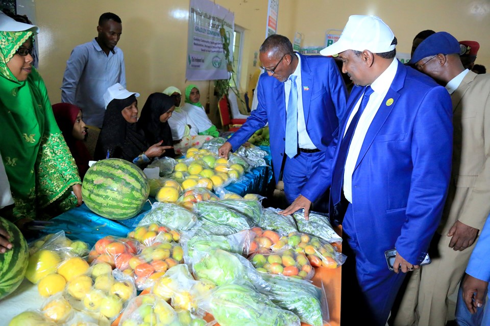 Wararka Maanta: Arbaco, Oct 16, 2019-Wasaaradda Beeraha Somaliland oo ...